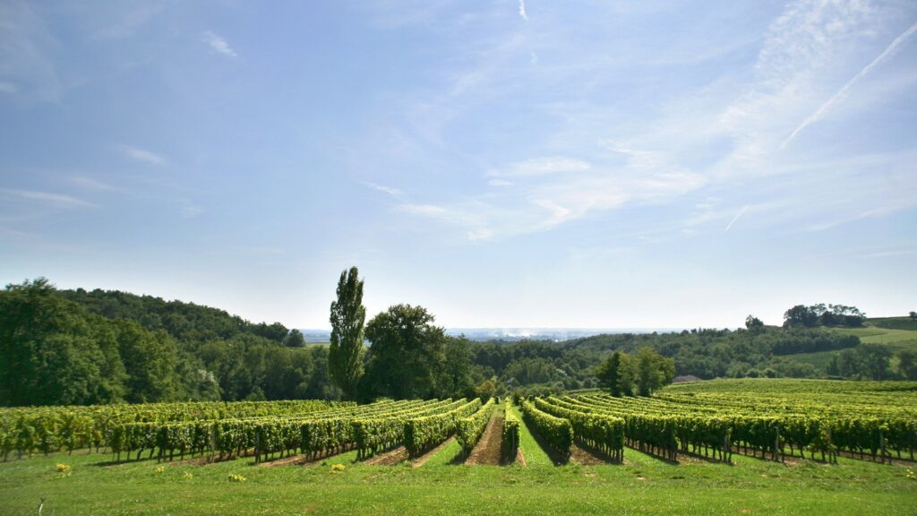 CHÂTEAU MALBAT | 生産者情報 | ワイン輸入販売 株式会社スイックプラス